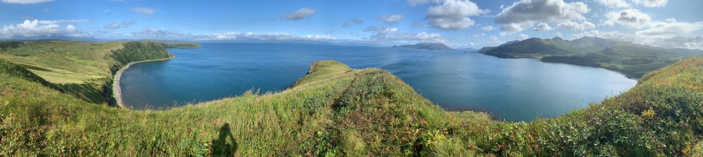 Test Form | cghn.nursing.uw.edu